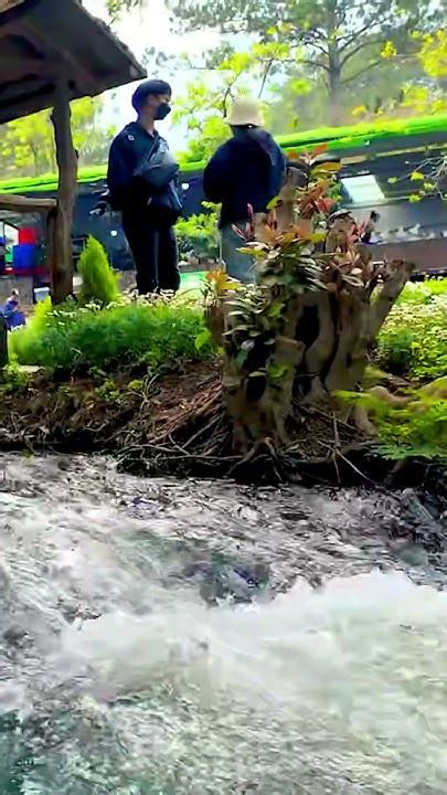 당신의 미소 하나로 내 하루가 빛나요 당신은 내 삶의 가장 아름다운 순간이에요 💖 Youtube