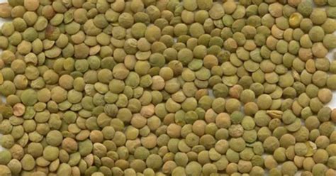 7 Different Types Of Lentils With Images