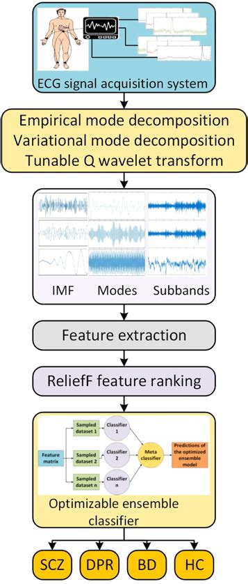 Ecgpsychnet An Optimized Hybrid Ensemble Model For Automatic Detection Of Psychiatric Disorders