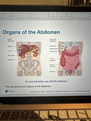 EMT Chapter 26 Flashcards Quizlet