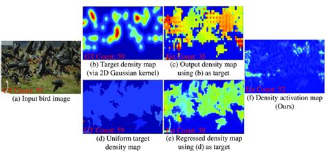 A An Input Bird Image B Target Density Map Constructed By Download Scientific Diagram