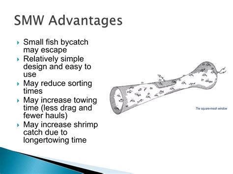 Bycatch Reduction Devices Pptx