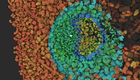 Snapshots From A Reaction Tree Structure While Simulating Four Download Scientific Diagram
