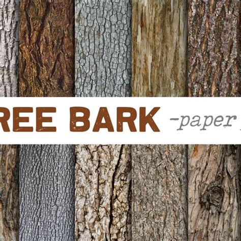 TREE BARK PAPER Digital Paper Pack Rustic Tree Bark Etsy