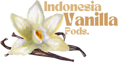 Indonesia Premium Vanilla Beans And Vanilla Pods Producer