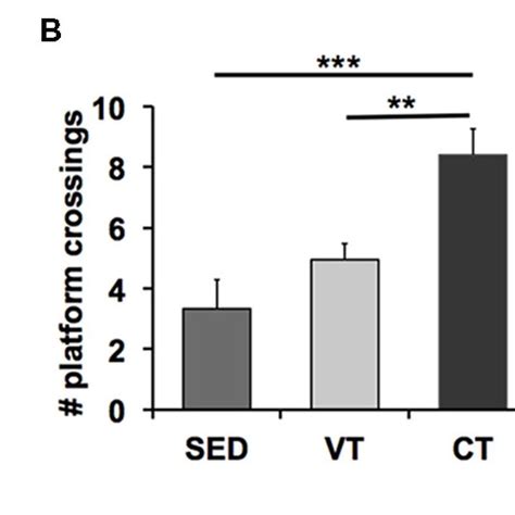 effects of physical exercise on spatial learning and memory formation