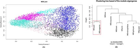 module eigengenes cluster analysis a multi dimensional scaling