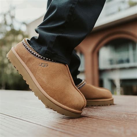 Mens Shoes Ugg M Tasman Chesnut 5950 Che Footshop