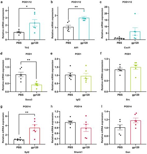 Qpcr Verification Of The Transcription Levels Of Candidate Genes At Download Scientific Diagram