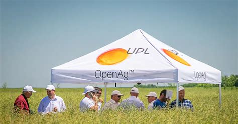 Upl Plans 500 Million Rights Issue Drhp Filing Imminent