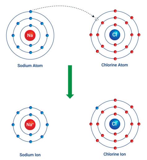 Sodium Atom Labeled
