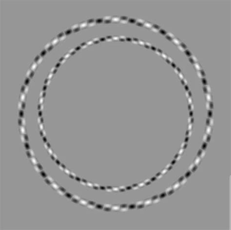 Are The Circles Touching R Illusionporn