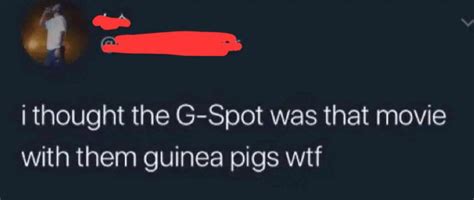 Moldy American Sex Ed R Moldymemes