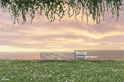 Abstact 3d 렌더링 일몰 자연 배경 꽃과 잔디에 돌 연단 Poduct 디스플레이 화장품 모형 등 상단에 담쟁이 잎으로