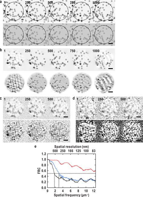 Numerical Demonstration Of Multiple Shot Coherent Diffraction Imaging A Download Scientific
