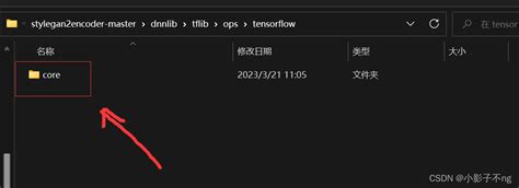 跑stylegan2模型时报错：fused bias act cu环境配置异常 无法打开包括文件 “tensorflow core