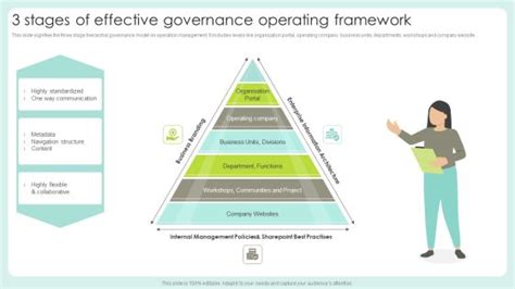 Data Governance Operating Model Types Exles