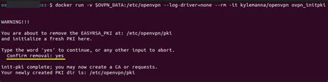 fundamentals of running openvpn in docker on ubuntu