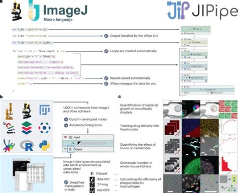 Volodymyr Nechyporuk Zloy On Linkedin Jipipe Visual Batch Processing