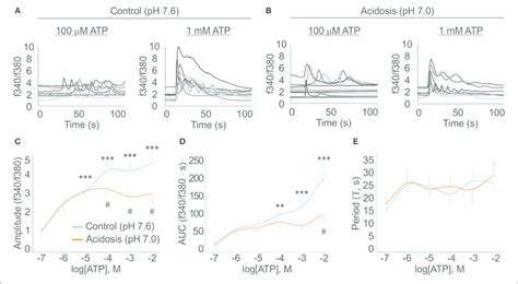 algorithm application in characterization of pathological states atp