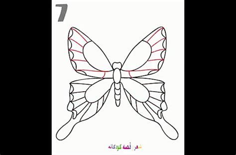 چگونه یک پروانه بکشیم؟ آموزش مرحله به مرحله ترسیم پروانه به کودکان