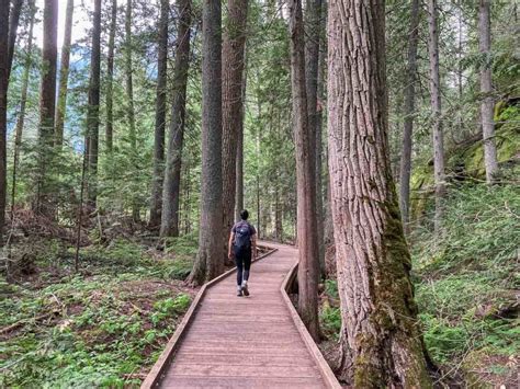 12 Best Things To Do At Lake Mcdonald Glacier National Park The National Parks Experience