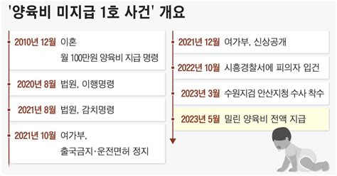 단독 13년간 양육비 안 준 ‘나쁜 아빠 형사처벌 대상되자 전액 지급