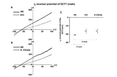 Hk Similarly Depolarizes The Basolateral Membrane Of The Dct In Male