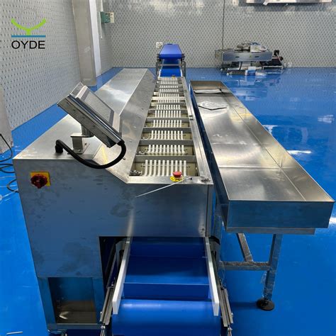 Frozen Shrimp Weight Classifier Conveyor Belt Scale For Seafood