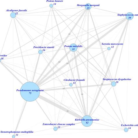 Network Analyses Of Bacteria From Chronic Wound Infections Sierra