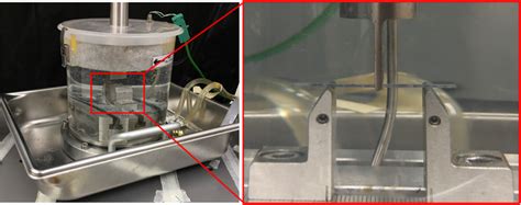 The Point Bending Test Setup The Support Span Was Mm And The Download Scientific Diagram