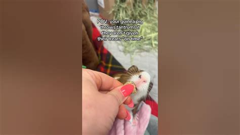 Hangry And Cute… And Loud 🥲 Youtube