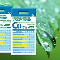Разбираемся в гортензиях и уходе за ними — Ботаничка