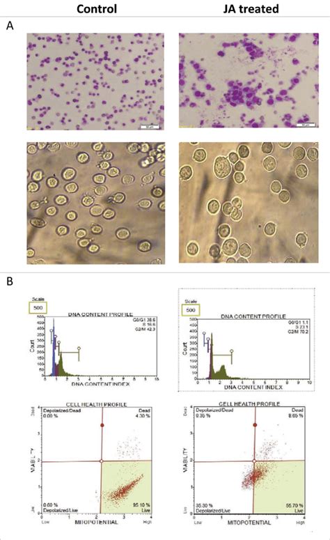 Megakaryocyte Maturation Observed With Justicia Adhatoda Extract