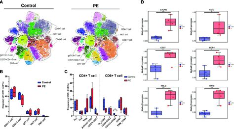T Cells Were Further Selected And Reclustered To Show The Alteration Of Download Scientific