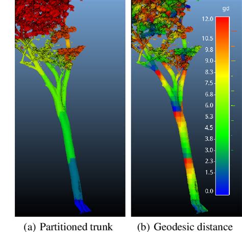 Figure From Semantic Segmentation Of Sparse Irregular Point Clouds For Leaf Wood