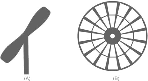 Schematics Of A The Model Wind Turbine And B The Actuator Disk Used Download Scientific