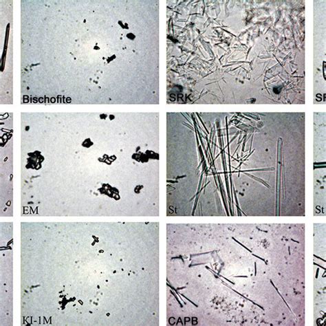 The Structure Of Sediment Crystals Mass Fraction Of Surfactant 01 Download Scientific