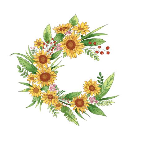 손 일러스트 으로 그린 화단 원소 해바라기 꽃뭉치 해바라기 녹색 잎 Png 일러스트 및 Psd 이미지 무료 다운로드 Pngtree