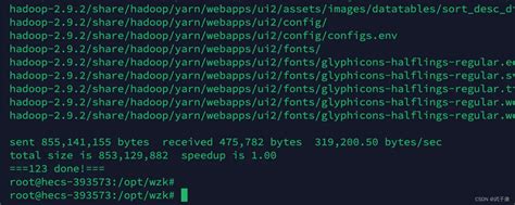 Hadoop 04 Hadoop集群 集群群起 Namenodedatanode启动 3台公网云 Resourcemanager Yarn Hdfs 集群启动 Ui可视化查看 Yarnui