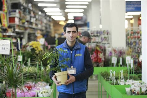 ოთახის 5 მცენარე რომელიც ყველაზე მეტ ჟანგბადს გამოყოფს ფლორისტი გირჩევთ როგორ მოუაროთ მათ