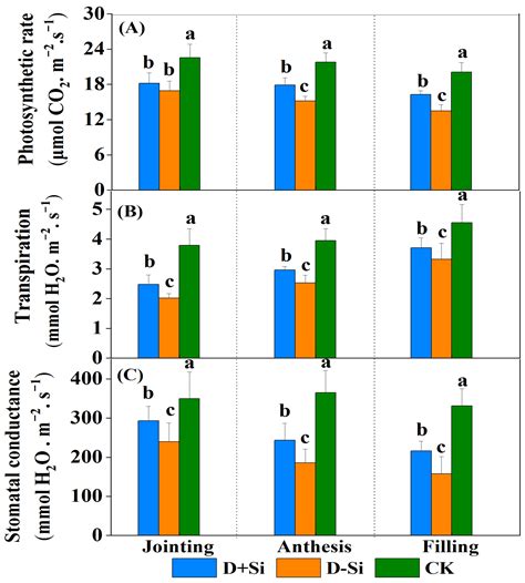 Plants Free Full Text The Effects Of Foliar Supplementation Of