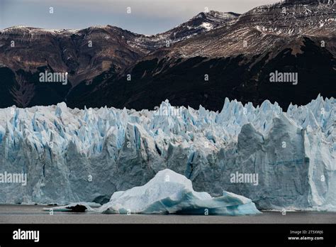 Perito Moreno Glacier El Calafate In Argentina Located In Los Glaciares