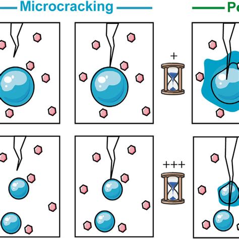 Schematic Of The Different Stages Of Self Healing Of Resin Based