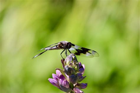 Transformations Unveiled The Life Altering Impact Of “temporal… By Dilip Patil Medium