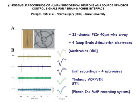 Ppt Sorting The Connections With Multi Electrode Neuronal Ensemble Recording Techniques