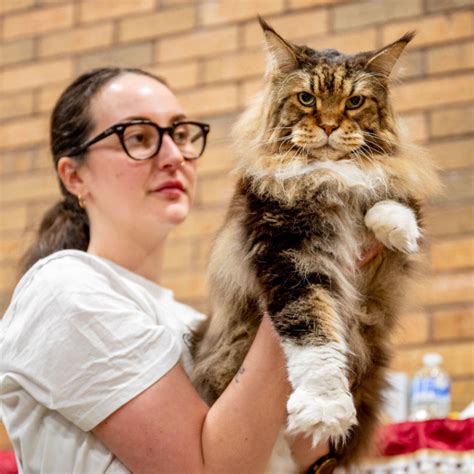 Gccf Steward Gccf Training