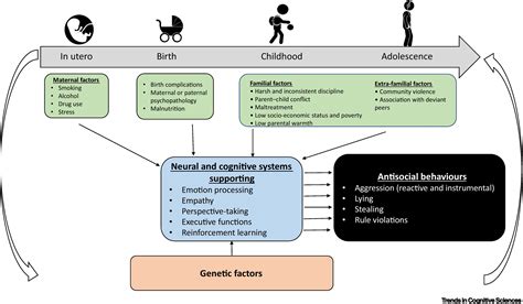 Antisocial Behavior And 4 Important Theoretical Perspectives To It Careershodh
