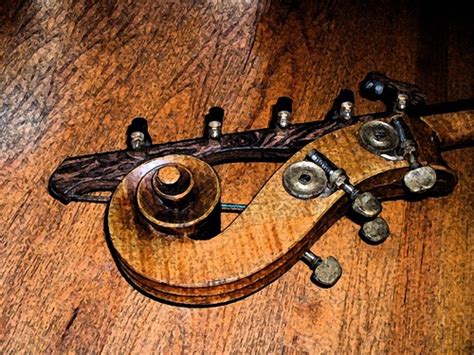 C Extension For Double Bass Double Bass Bass Guitar Bass
