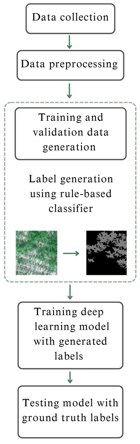 Remote Sensing Free Full Text Weakly Supervised Perennial Weed Detection In A Barley Field